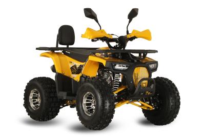 中国 125CC ATV Racing Buggy Quadricycle with 12V Voltage and Smooth Automatic Transmission 販売のため
