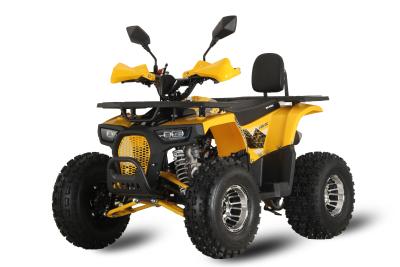 中国 125CC ATV Racing Buggy Quadricycle with 12V Voltage and Smooth Automatic Transmission 販売のため