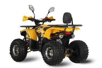 中国 125CC ATV Racing Buggy Quadricycle with 12V Voltage and Smooth Automatic Transmission 販売のため
