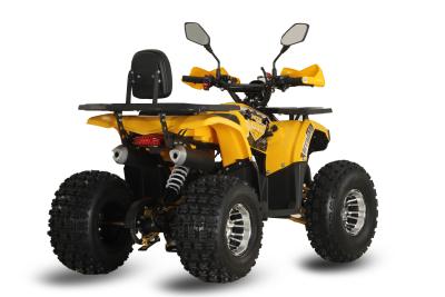 中国 125CC ATV Racing Buggy Quadricycle with 12V Voltage and Smooth Automatic Transmission 販売のため