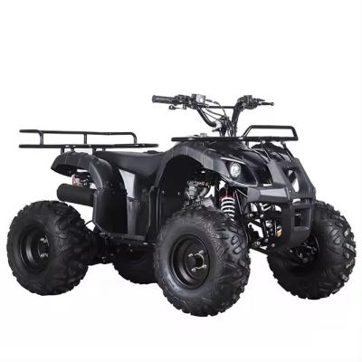 China Chain Drive 110cc/125cc 4 Stroke All-Terrain Four-Wheel Beach Buggy Gasoline Quadbike à venda
