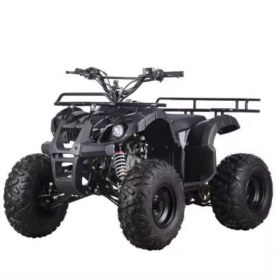 China Chain Drive 110cc/125cc 4 Stroke All-Terrain Four-Wheel Beach Buggy Gasoline Quadbike à venda