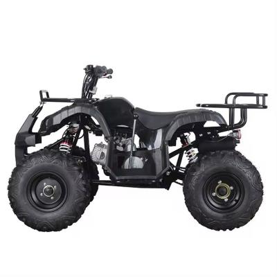 China Chain Drive 110cc/125cc 4 Stroke All-Terrain Four-Wheel Beach Buggy Gasoline Quadbike à venda