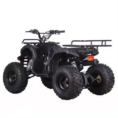 China Chain Drive 110cc/125cc 4 Stroke All-Terrain Four-Wheel Beach Buggy Gasoline Quadbike à venda