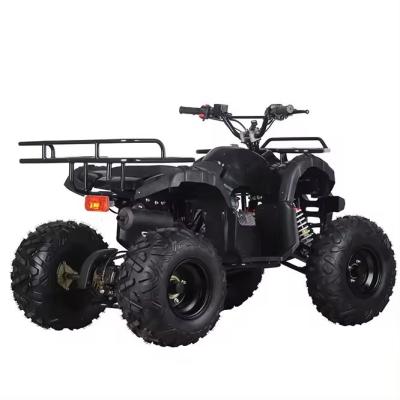 China Chain Drive 110cc/125cc 4 Stroke All-Terrain Four-Wheel Beach Buggy Gasoline Quadbike à venda