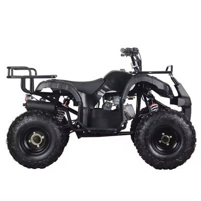 China Chain Drive 110cc/125cc 4 Stroke All-Terrain Four-Wheel Beach Buggy Gasoline Quadbike à venda