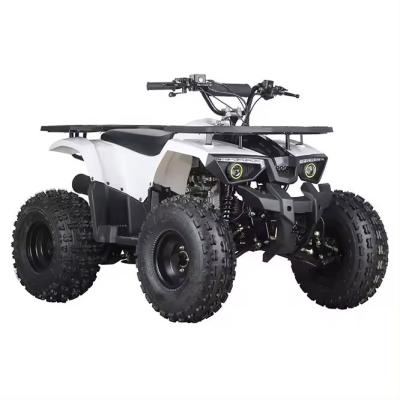 中国 110cc-150cc Engine Racing ATV Kids Quadbike for Farm Maximum Torque ≤20Nm 販売のため