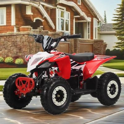 中国 36V Kids Quad Electric 1000w Atv 125cc 6inch Automatic Quad Motorcycle for Children 2WD 販売のため