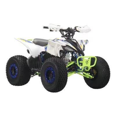 中国 110cc 125cc Quad ATVs for Adults Design and Unequipped Differential Lock 販売のため