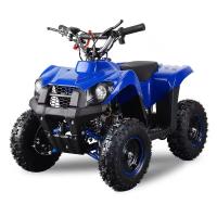 China Mini Quad Bike 4 Wheels 49cc 2 Stroke Engine Pull Start Electric Start ATV Suitable for sale