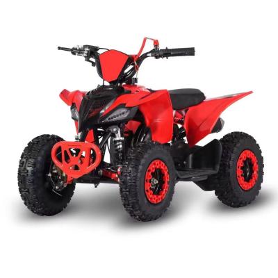 Cina Driving Type 2WD 2024 49cc 50cc 2 Stroke Mini Quad bike gas powered ATV For Kids with CE in vendita