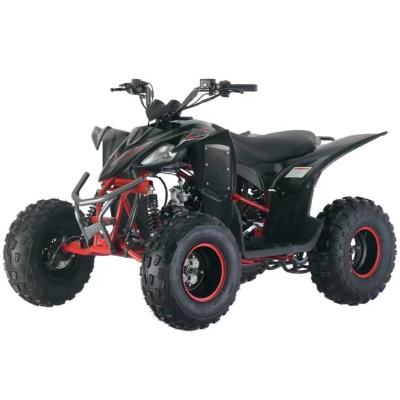 Cina 2WD Driving Type 125cc Four Wheeler ATV Bike with Chain Drive Transmission System in vendita