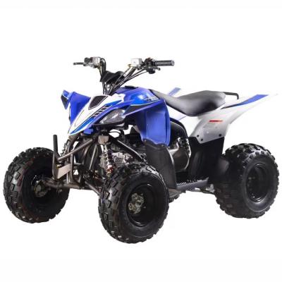 Cina 2WD Driving Type 125cc Four Wheeler ATV Bike with Chain Drive Transmission System in vendita