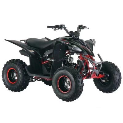 Cina 2WD Driving Type 125cc Four Wheeler ATV Bike with Chain Drive Transmission System in vendita