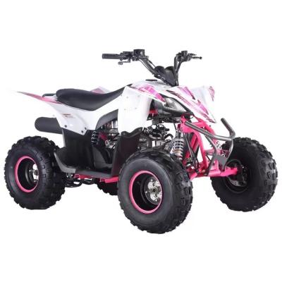 Cina 2WD Driving Type 125cc Four Wheeler ATV Bike with Chain Drive Transmission System in vendita