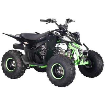 Cina 2WD Driving Type 125cc Four Wheeler ATV Bike with Chain Drive Transmission System in vendita