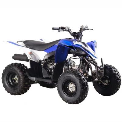 Cina 2WD Driving Type 125cc Four Wheeler ATV Bike with Chain Drive Transmission System in vendita