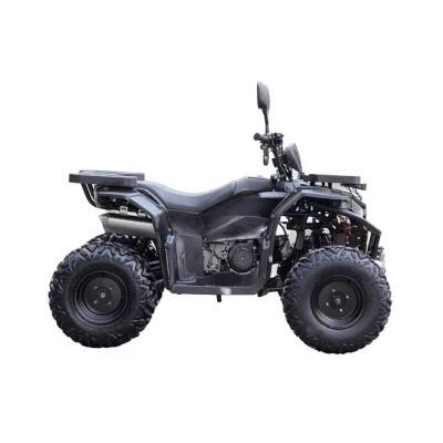 Cina 150cc Engine Customized Steel Tube Automatic Atv Utv Parts Accessories for Two People in vendita