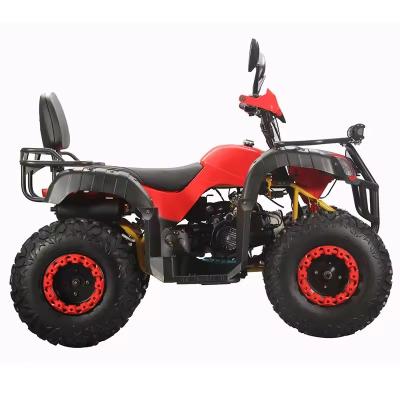 Cina Adult Quad Bike 250cc 4x4 with Electric Start and Automatic Transmission ATV in vendita