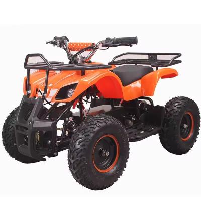 Cina 800W Electric Mini Kids Racing ATV With Rack Quad Bike Perfect for Grade Ability ≥25° in vendita