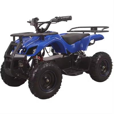 Cina 800W Electric Mini Kids Racing ATV With Rack Quad Bike Perfect for Grade Ability ≥25° in vendita