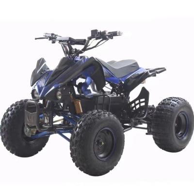 Cina Electric 4 Wheel Kids Quad Bike ATV with 1000W 48V/60V Shaft Drive Brushless Motor in vendita