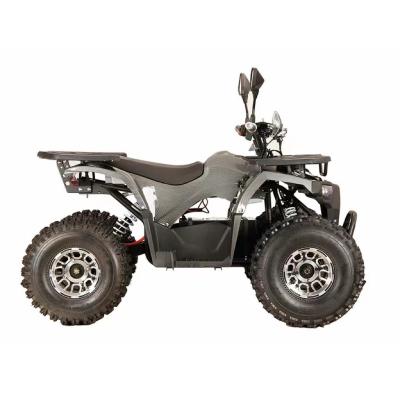 中国 Customizable Colors Electric Quad 1000w48V20Ah with Front Disc Rear Disc Brake System 販売のため