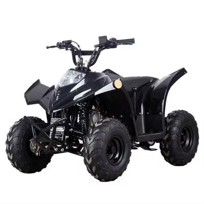 中国 Compact Chain Transmission ATV 125cc 110CC 70CC with Low Fuel Consumption 販売のため