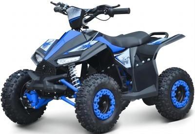 中国 Maximum Torque of 40-60Nm 1000W Electric Side by Side ATV for Unbeatable Performance 販売のため