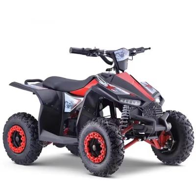 中国 Maximum Torque of 40-60Nm 1000W Electric Side by Side ATV for Unbeatable Performance 販売のため