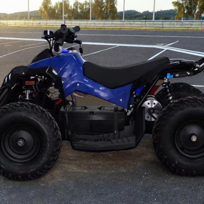 Cina 1000W 36V 48V Chain Drive ATV Designed for Minimum Grand Clearance ≤100mm Performance in vendita