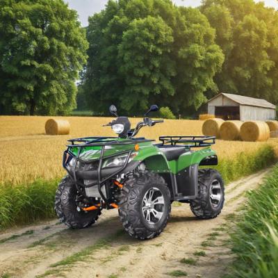 Cina 250cc Racing ATV with Automatic Transmission and 150-200mm Minimum Grand Clearance in vendita