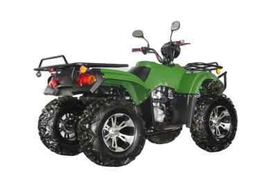 Cina 250cc Racing ATV with Automatic Transmission and 150-200mm Minimum Grand Clearance in vendita