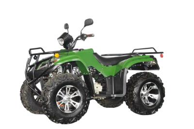 Cina 250cc Racing ATV with Automatic Transmission and 150-200mm Minimum Grand Clearance in vendita