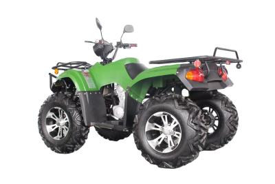 Cina 250cc Racing ATV with Automatic Transmission and 150-200mm Minimum Grand Clearance in vendita