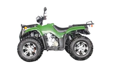 Cina 250cc Racing ATV with Automatic Transmission and 150-200mm Minimum Grand Clearance in vendita