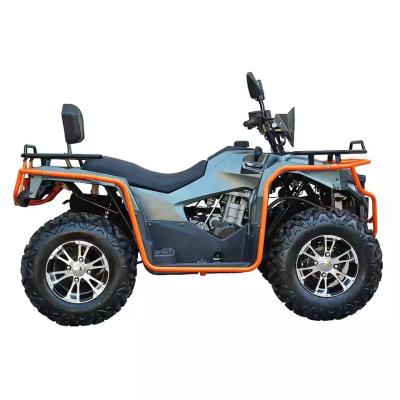 Cina 2024 UTV 4x4 / Utility ATV Farm Vehicle Unequipped Differential Lock 1000W 1000W in vendita