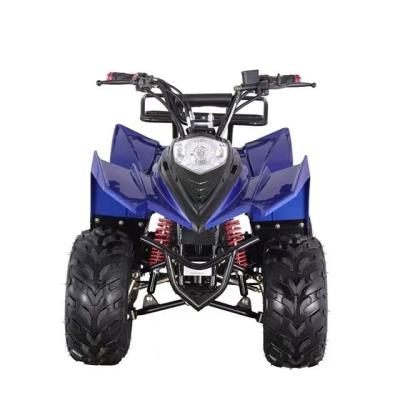 Cina Electric Mountain Truck Off-Road Vehicle with Rear Disc Brake and 600-1000mm Wheelbase in vendita