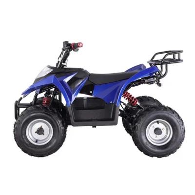Cina Electric Mountain Truck Off-Road Vehicle with Rear Disc Brake and 600-1000mm Wheelbase in vendita