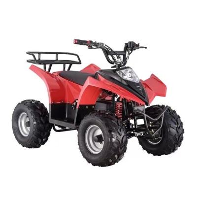 Cina Electric Mountain Truck Off-Road Vehicle with Rear Disc Brake and 600-1000mm Wheelbase in vendita