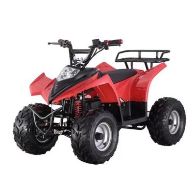 Cina Electric Mountain Truck Off-Road Vehicle with Rear Disc Brake and 600-1000mm Wheelbase in vendita