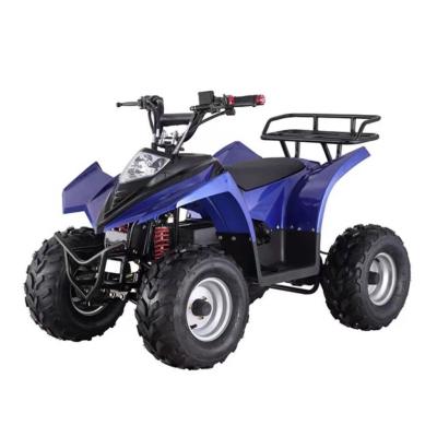 Cina Electric Mountain Truck Off-Road Vehicle with Rear Disc Brake and 600-1000mm Wheelbase in vendita
