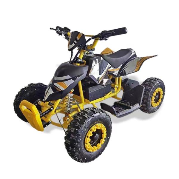 Quality Mini Four Wheel Motorcycle 800w Ce Certification Kids Electric 4 Wheeler Quad for sale