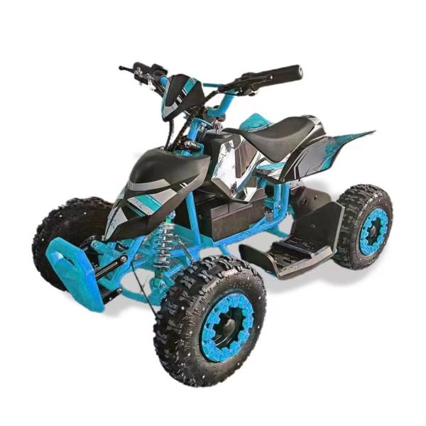 Quality Mini Four Wheel Motorcycle 800w Ce Certification Kids Electric 4 Wheeler Quad for sale