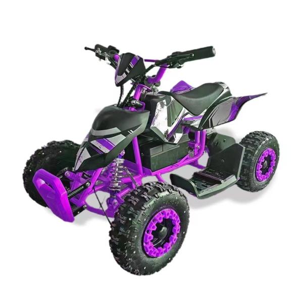 Quality Mini Four Wheel Motorcycle 800w Ce Certification Kids Electric 4 Wheeler Quad for sale