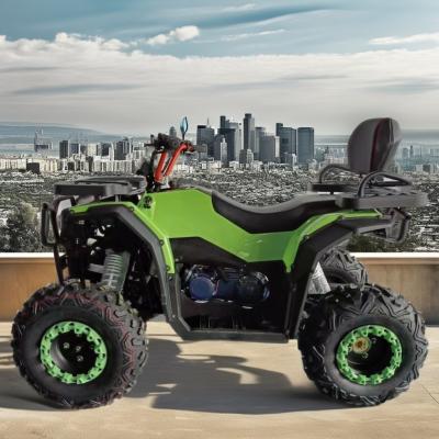 中国 250cc Displacement Four-Stroke Air-Cooled Gasoline ATV Motorcycle for 2WD Driving Fun 販売のため