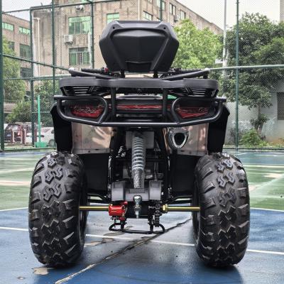 Cina Unleash Your Inner Adventurer 250CC Automatic Chain Drive ATV for Off-road Riding in vendita