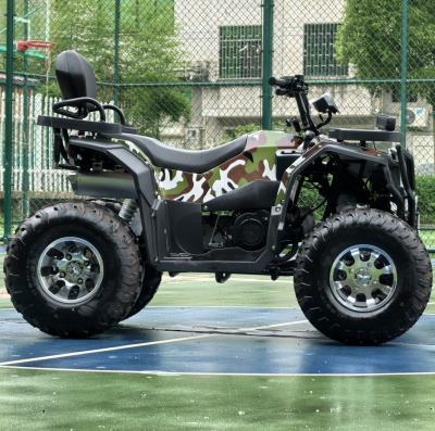 Cina Unleash Your Inner Adventurer 250CC Automatic Chain Drive ATV for Off-road Riding in vendita