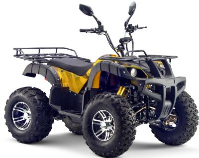 中国 Electric ATV 4x4 for Adults Maximum Torque Nm ≤20Nm Red/Blue/Black/Green/Yellow 3000W 販売のため