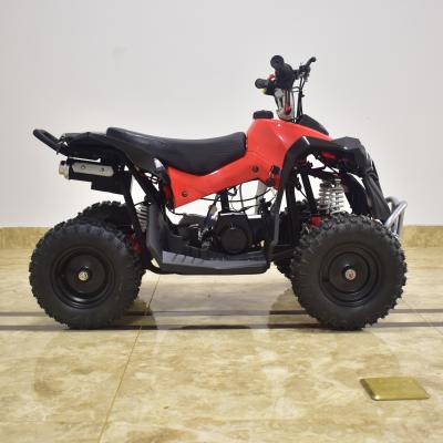 Cina 1 Cylinder 49CC ATV with Unequipped Differential Lock in vendita